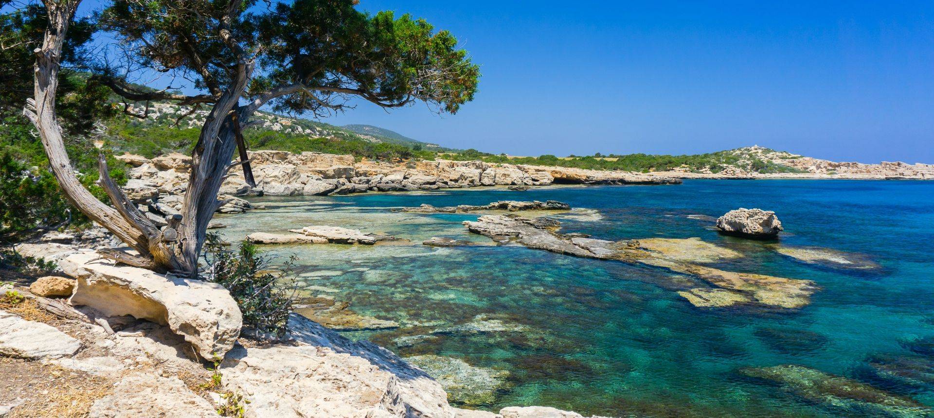 Cyprus at Christmas - Naturetrek