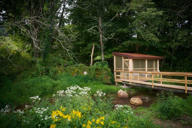 Eupepsia Wellness Center