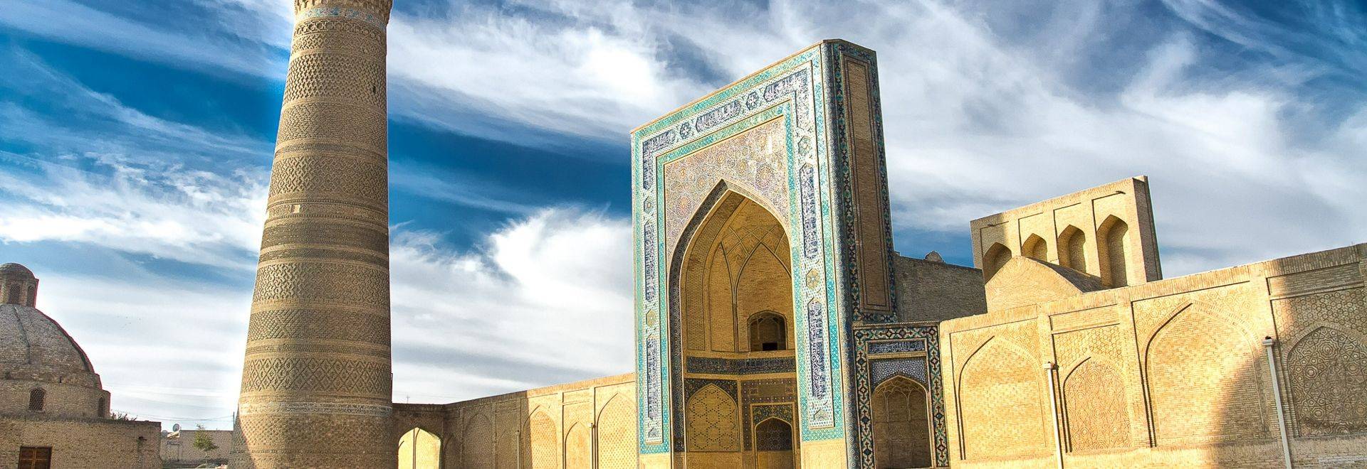 Wildlife Holidays in Uzbekistan - Naturetrek