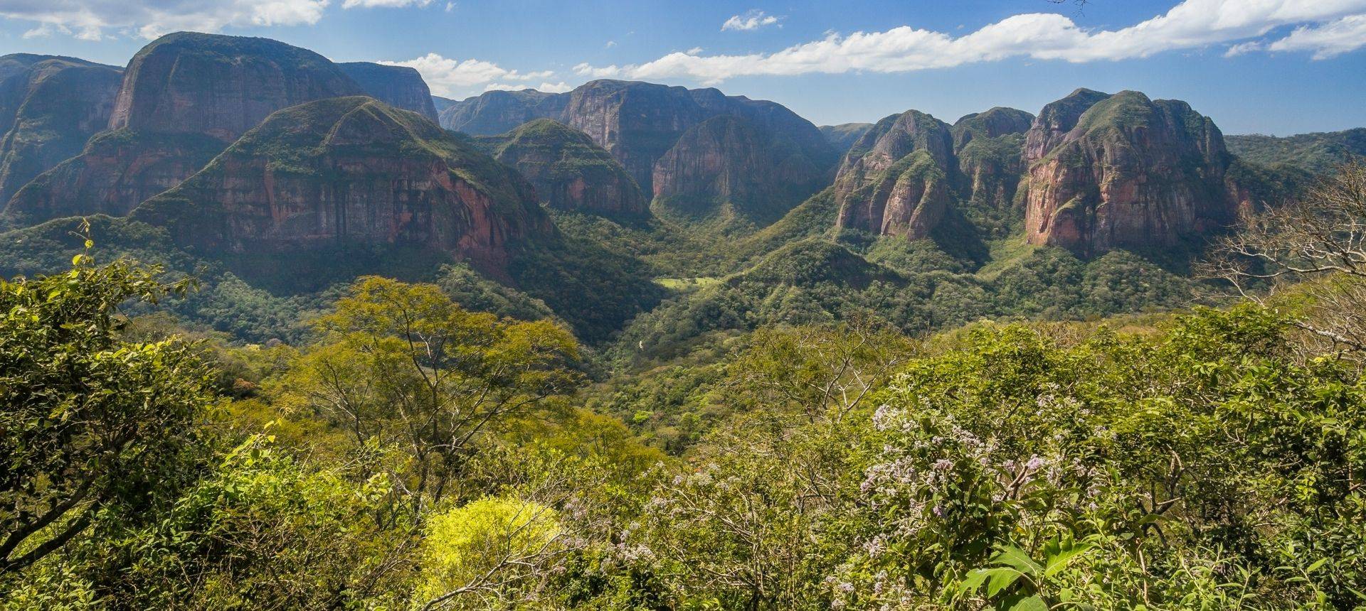 Bolivia - Lowlands - Naturetrek