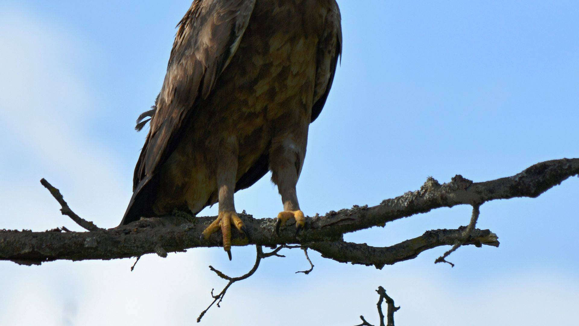 Wildlife Holidays in Slovakia for 2020/21 - Naturetrek