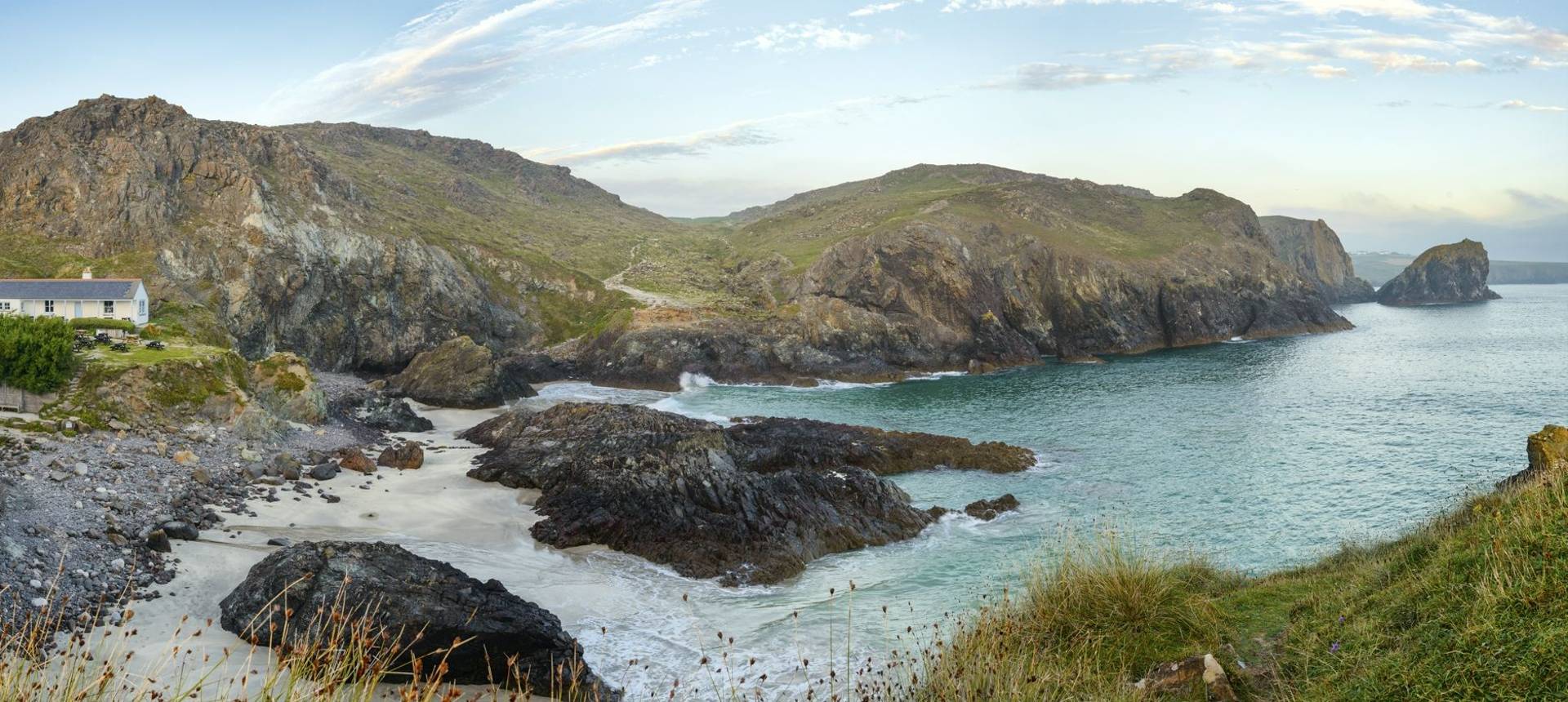 Wild Flowers of the Cornish Valleys and Lizard Peninsula - Naturetrek ...