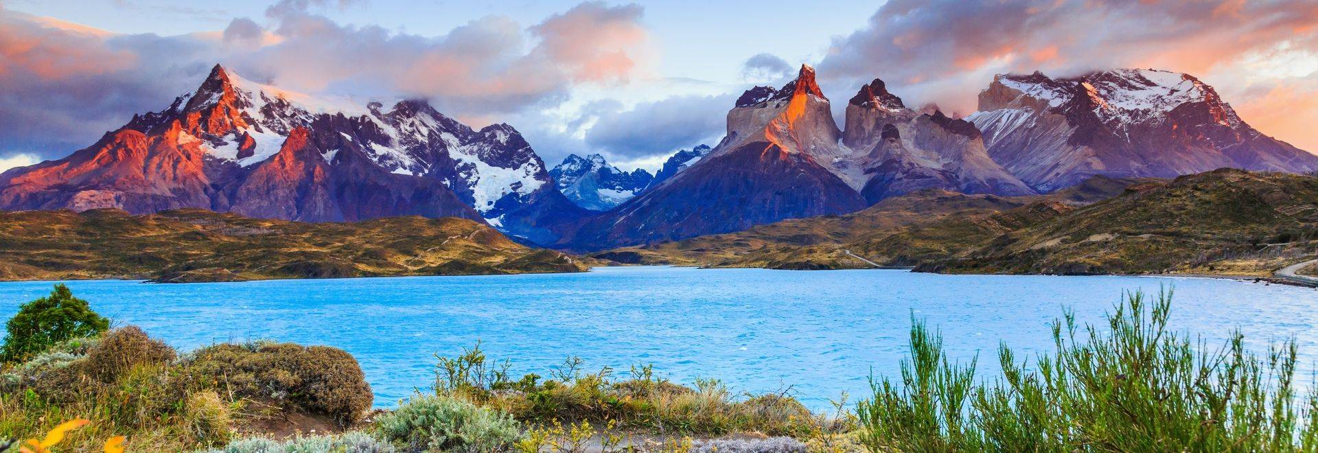 Wildlife Holidays in South America - Naturetrek