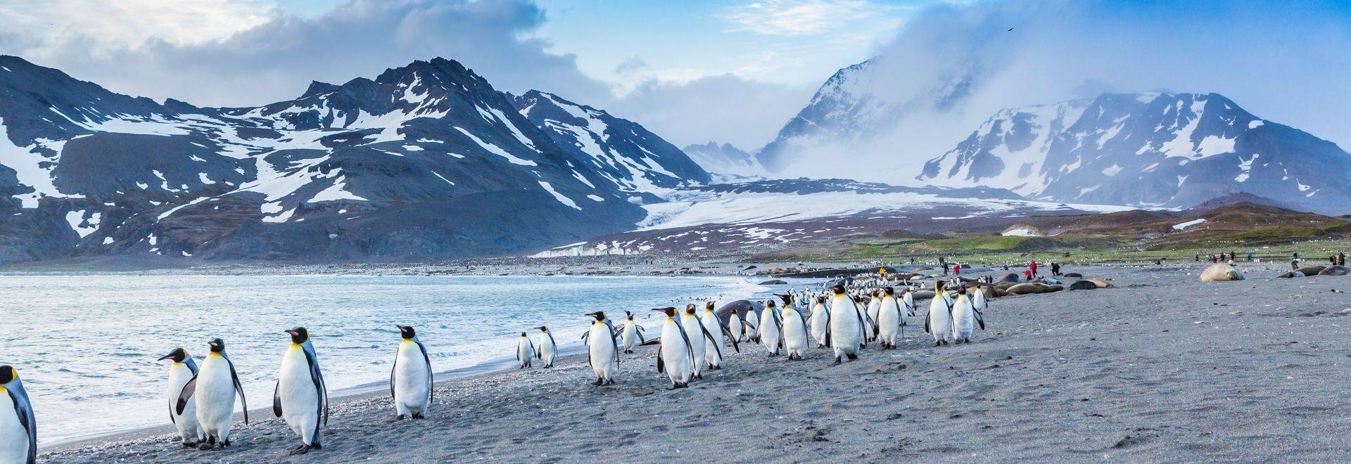 Wildlife Cruises for 2022/23 - Naturetrek