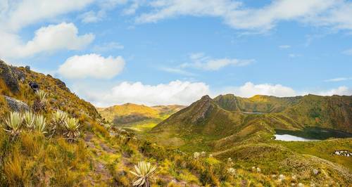 Colombia - The Magdalena Valley and Eastern Andes - Naturetrek