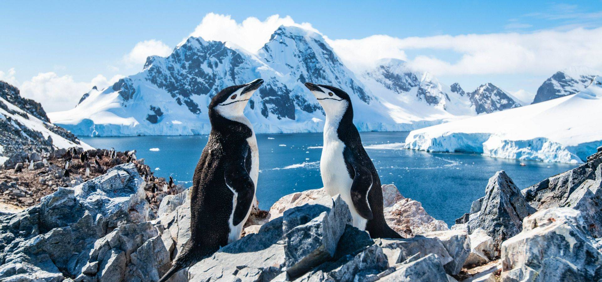 The Wildlife Travel Experts - Naturetrek