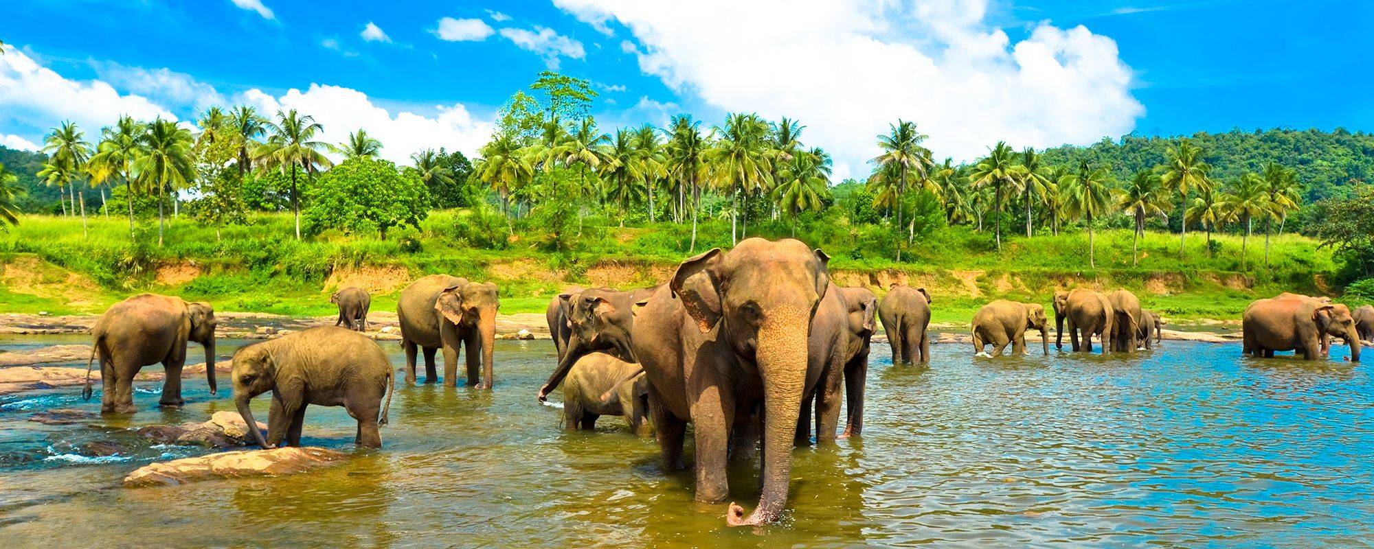 solo-traveller-holidays-tours-activities-solos-holidays